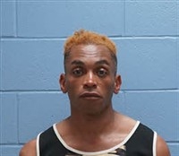 JOHNSON, KAREEM ALI - Lee County Alabama